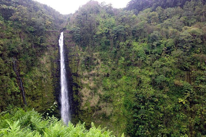 Big Island Volcano Adventure from Kona: Small Group - FAQ