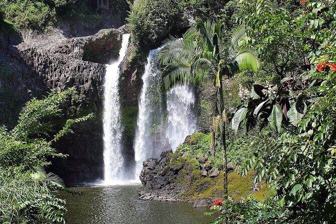Big Island Waterfall Swim and Hike with Hilo Cruise Ship Pickup - The Itinerary in Detail