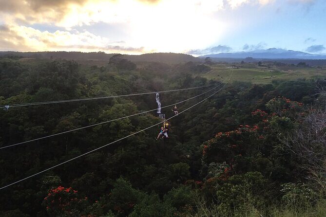 Big Island Zipline Adventure - FAQs