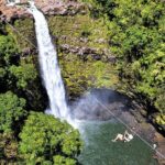 Big Island Zipline over KoleKole Falls w/ Hilo Cruise Ship Pickup - The Scenic and Botanical Highlights