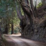 Big Sur Electric Bike Tour Along Old Coast Road - Frequently Asked Questions