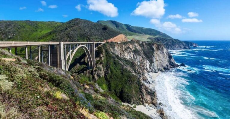 Big Sur: Sightseeing Tour with 4 to 5 Stops - Who Should Consider This Tour?