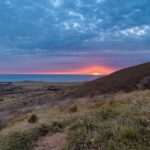 Big Sur's Old Coast Road E-Bike Tour - What’s Included and What to Know