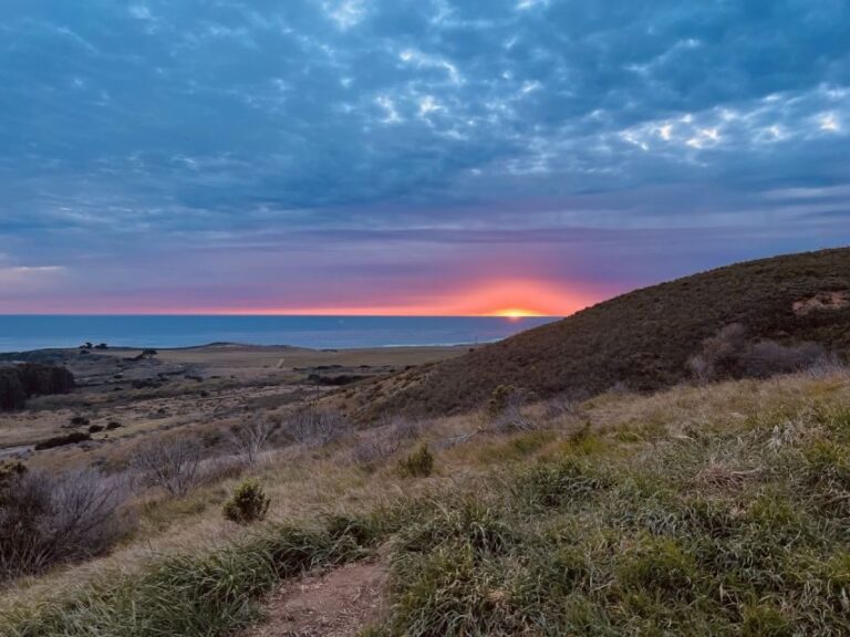 Big Sur's Old Coast Road E-Bike Tour - What’s Included and What to Know
