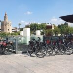 Bike Rental per Day in Seville - Why Rent a Bike in Seville?