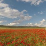 Bike Tour in the Alta Murgia National Park (Pulo of Altamura) - What To Expect on Each Stop