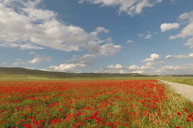 Bike Tour in the Alta Murgia National Park (Pulo of Altamura) - What To Expect on Each Stop