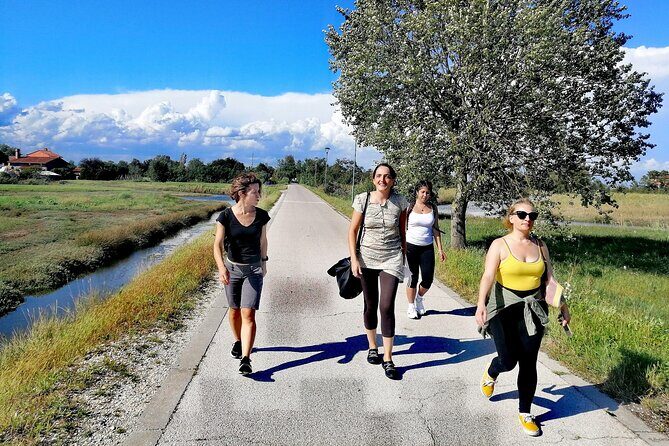 Bike tour with honey and artichockes on SantErasmo island - Value and Practical Considerations