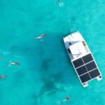Biologist Owned & Operated: Dolphin Watching & Guided Snorkeling - The Value of Small Group Sizes