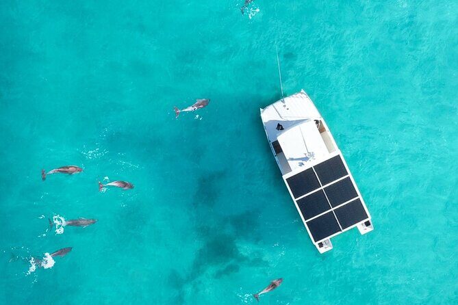 Biologist Owned & Operated: Dolphin Watching & Guided Snorkeling - The Value of Small Group Sizes