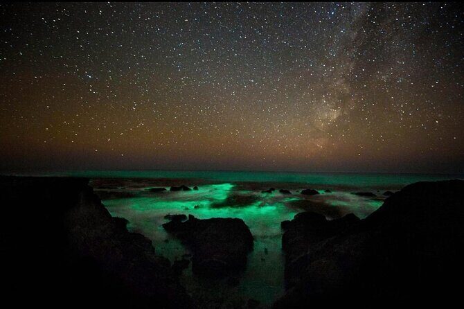 Bioluminescence and Sunset Kayak Tour in the San Juan Islands - The Sum Up: Who Will Love This Experience?