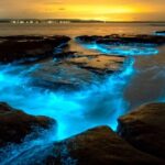 Bioluminescence Clear Kayak or Paddleboard Tour Near Orlando - Who Will Love This Tour?