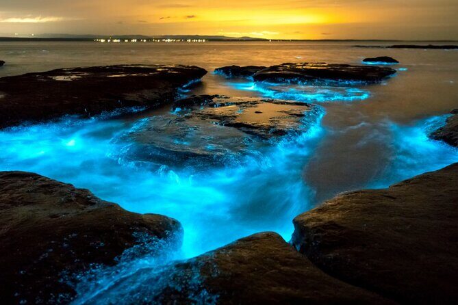 Bioluminescence Clear Kayak or Paddleboard Tour Near Orlando - Who Will Love This Tour?