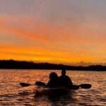 Bioluminescence Kayak Tour - Who Will Love This Tour?