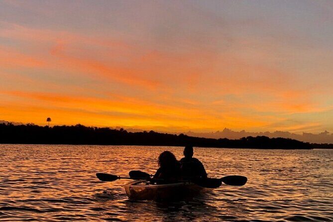 Bioluminescence Kayak Tour - Who Will Love This Tour?