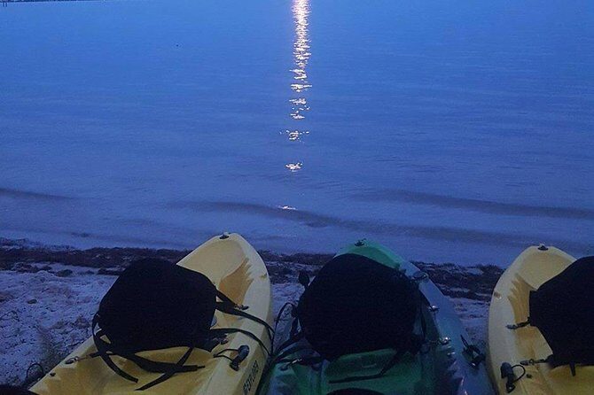 Bioluminescence Night Kayaking Tour of Merritt Island Wildlife Refuge - What to Expect on the Tour