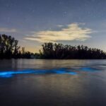 Bioluminescent Clear Kayak Tours in Titusville - What You Need to Know