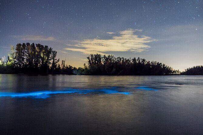 Bioluminescent Clear Kayak Tours in Titusville - What You Need to Know