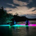 Bioluminescent Comb Jelly & LED Kayak / Paddle board Excursion - Who Will Love This Tour?