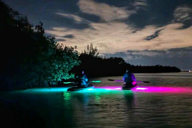 Bioluminescent Comb Jelly & LED Kayak / Paddle board Excursion - Who Will Love This Tour?