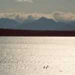 Bite-Sized Seattle History & Food Tour - Practical Details: What You Need to Know