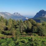 Bizkaia, Duranguesado Route. Beautiful villages and mountain landscapes. - Why You’ll Love This Tour