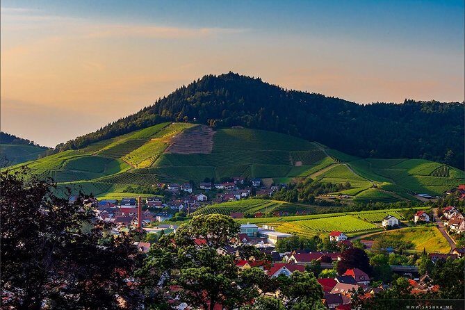 Black Forest. From Baden-Baden to Strasbourg. Two countries in one day - Who Will Appreciate This Tour?