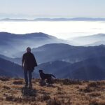 Black Forest Tour by car - Quick Tour from Freiburg - Final Thoughts