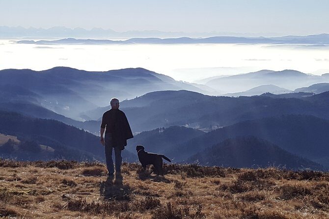 Black Forest Tour by car - Quick Tour from Freiburg - Final Thoughts