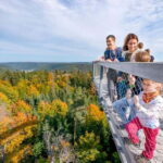 Black Forest: Treetop Walk & Lookout Tower Experience - Detailed Breakdown of the Experience