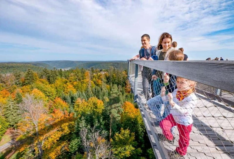 Black Forest: Treetop Walk & Lookout Tower Experience - Detailed Breakdown of the Experience