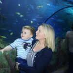Blankenberge: SEA LIFE Entry Ticket - Final Thoughts