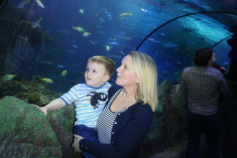 Blankenberge: SEA LIFE Entry Ticket - Final Thoughts
