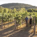 Bliss - Sedonas Most Luxurious Wine Tour - Lunch Included! - What’s Included and What’s Not