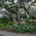 Bloody Murder Savannah Pub Crawl - Review Highlights and Authentic Perspectives