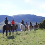 Blue Flower Trail Ride - Who Should Consider This Tour?