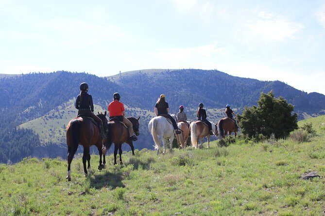 Blue Flower Trail Ride - Who Should Consider This Tour?
