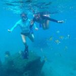 Blue Heron Bridge Guided Snorkel Tour - Practical Details to Know