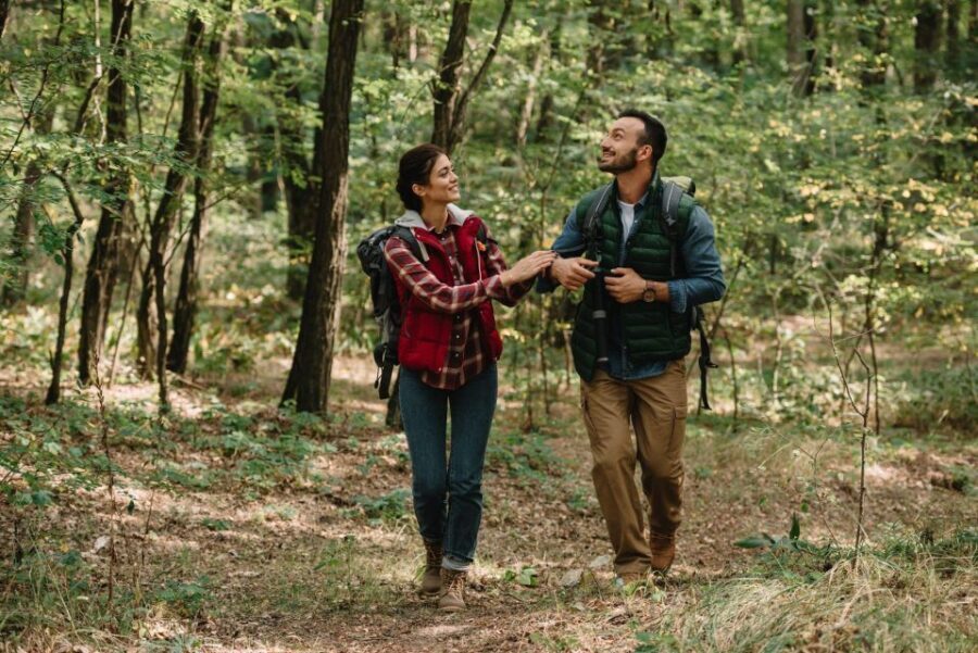Blue Ridge Parkway Waterfalls: Hiking Tour from Asheville - Tips for Making the Most of Your Tour