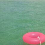 Boat Excursion in Florida Keys with Snorkeling Equipment - Who Is This Tour Best For?