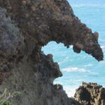 Boat Excursion to visit underwater lava tongues - The Authenticity of the Guides and the Experience