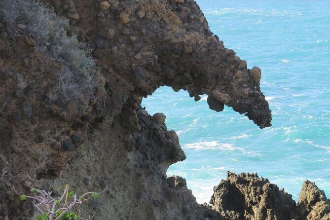 Boat Excursion to visit underwater lava tongues - The Authenticity of the Guides and the Experience
