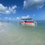 Boat Rentals in Shell Key - The Experience: What to Expect