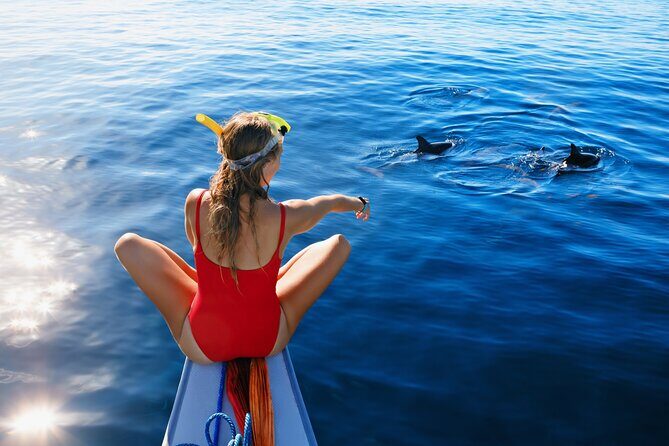 Boat tour Cinque Terre and Gulf of Poets from La Spezia - The Experience in Detail