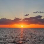 Boat Tour For Sunset Cruise And Sunset Bridge Tour - What to Expect During the Tour