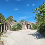 Boat tour with Watersports and snorkeling near st pete beach - Final Thoughts: Who Will Love This Experience?
