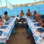 Boat trip to Asinara with lunch in Stintino - A Deep Dive into the Experience