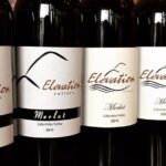 Bodacious Bordeaux Wine Tasting Pass in Woodinville - A Closer Look at the Itinerary