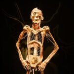 Bodies The Exhibition at the Luxor Hotel and Casino - Navigating the Itinerary and Experience