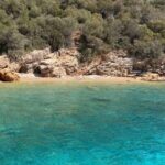 Bodrum Aquarium Bay Tour with Lunch & Swimming Stops - The Sum Up: Who Will Love This Tour?